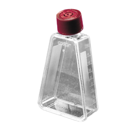 Fiasche cell culture 25 cmâ²