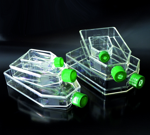 Fiasche per colture cellulari trattate